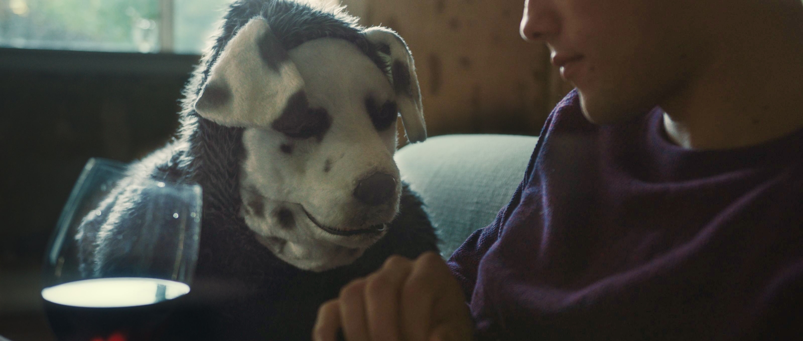 A man's best friend causes relationship problems in Good Boy trailer
