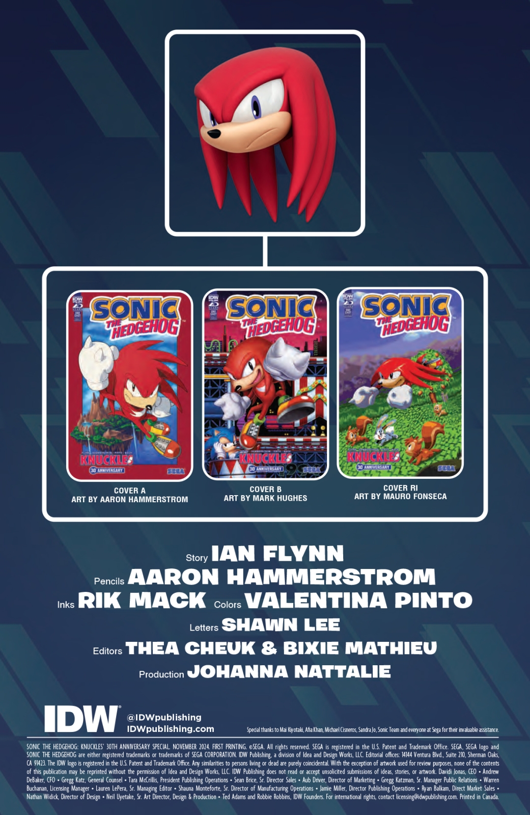 Sonic the Hedgehog: Knuckles' 30th Anniversary Special #1 - Comic Book ...