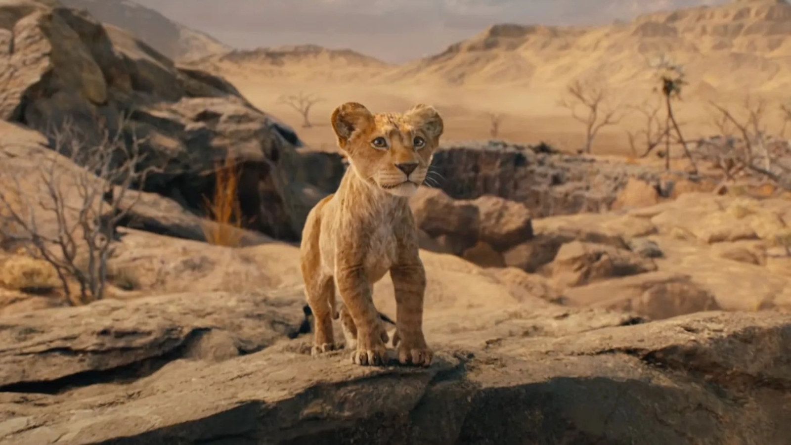 Disney's Mufasa: The Lion King drops first teaser trailer