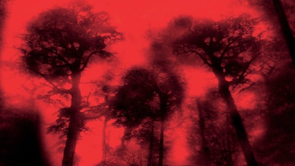 Eli Roth's Cabin Fever sets 4K Ultra HD Steelbook release