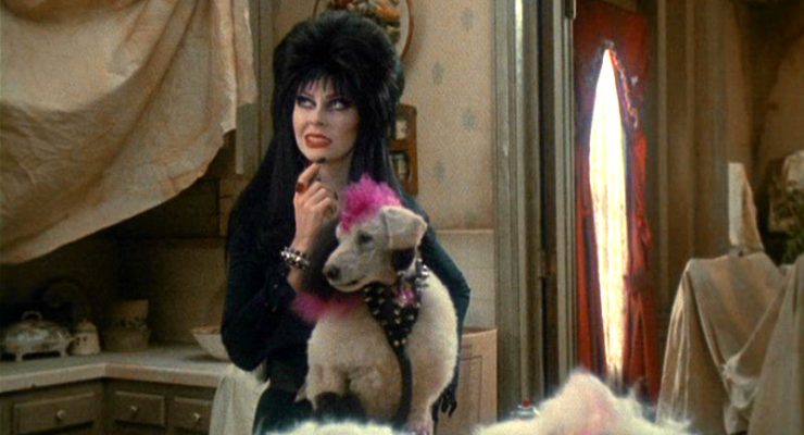 Elvira: Mistress of the Dark Revisited: The Birth of a Horror Icon