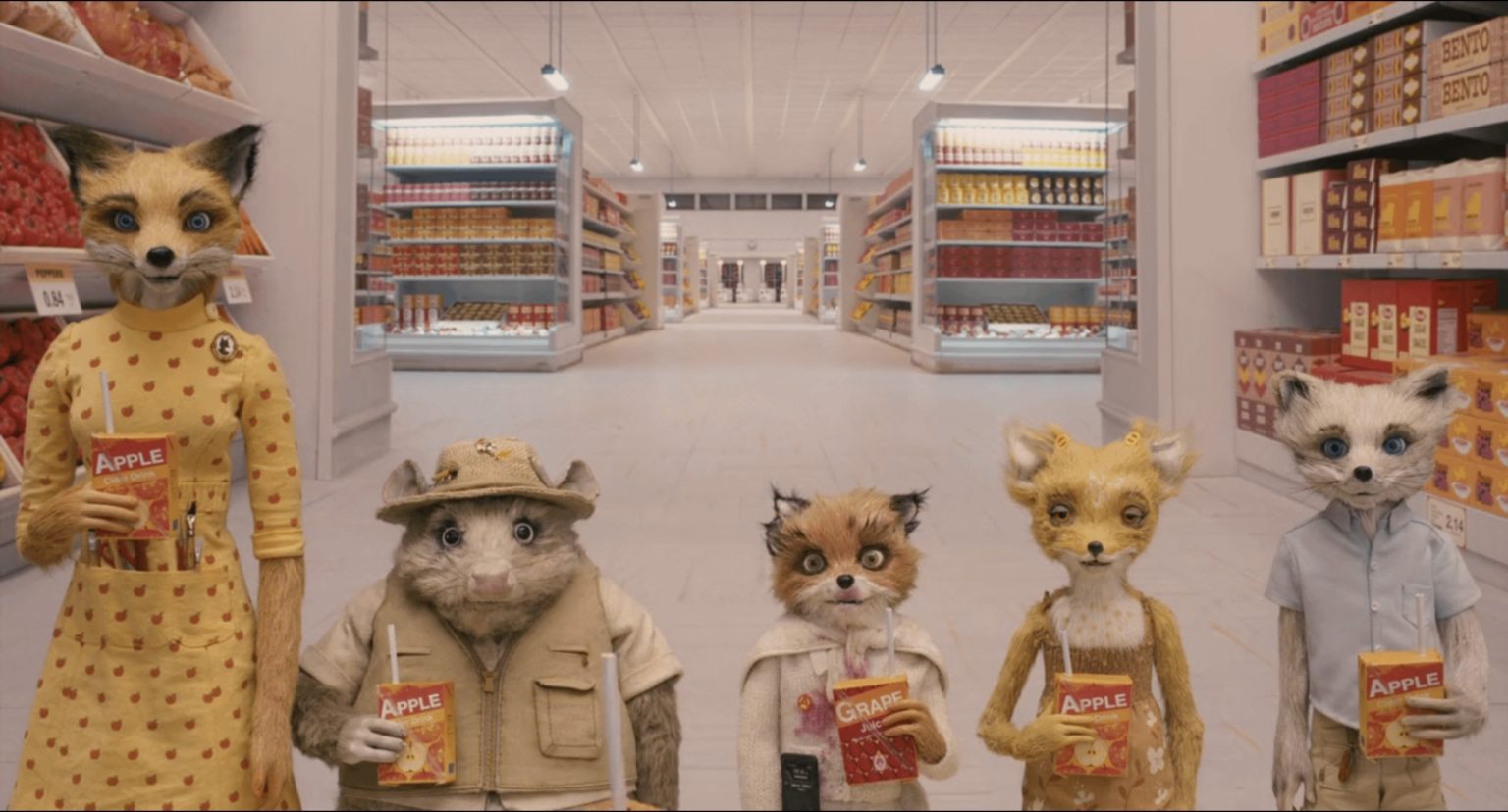Fantastic Mr. Fox at 15: Wes Anderson's Delightful Stop-Motion ...