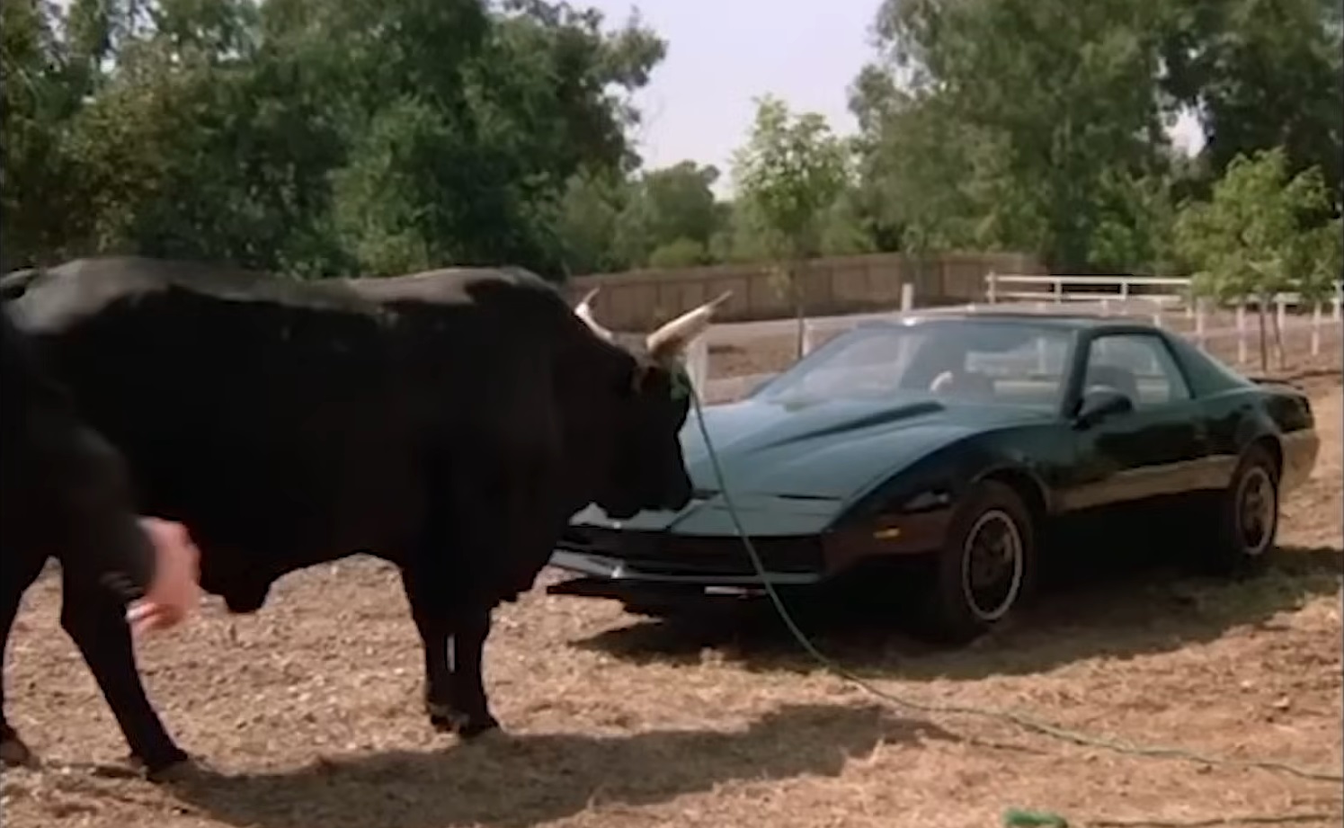 Knight Rider: The Story Behind the Classic 1980s David Hasselhoff Series
