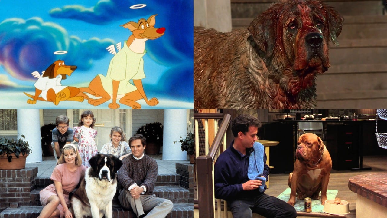 Man's Best Friend: The Top 10 Dog Movies
