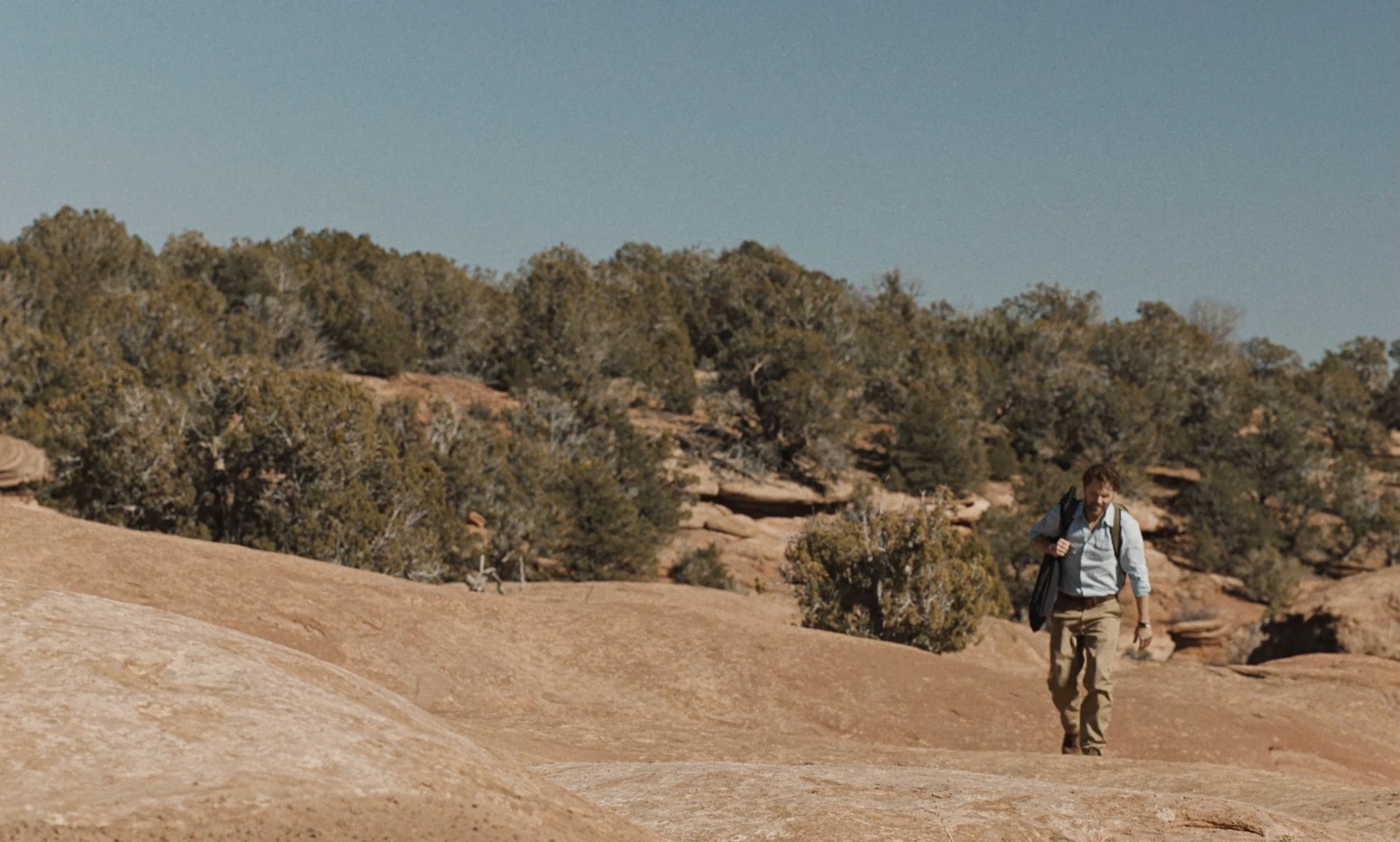 The Seeding (2023) - Movie Review