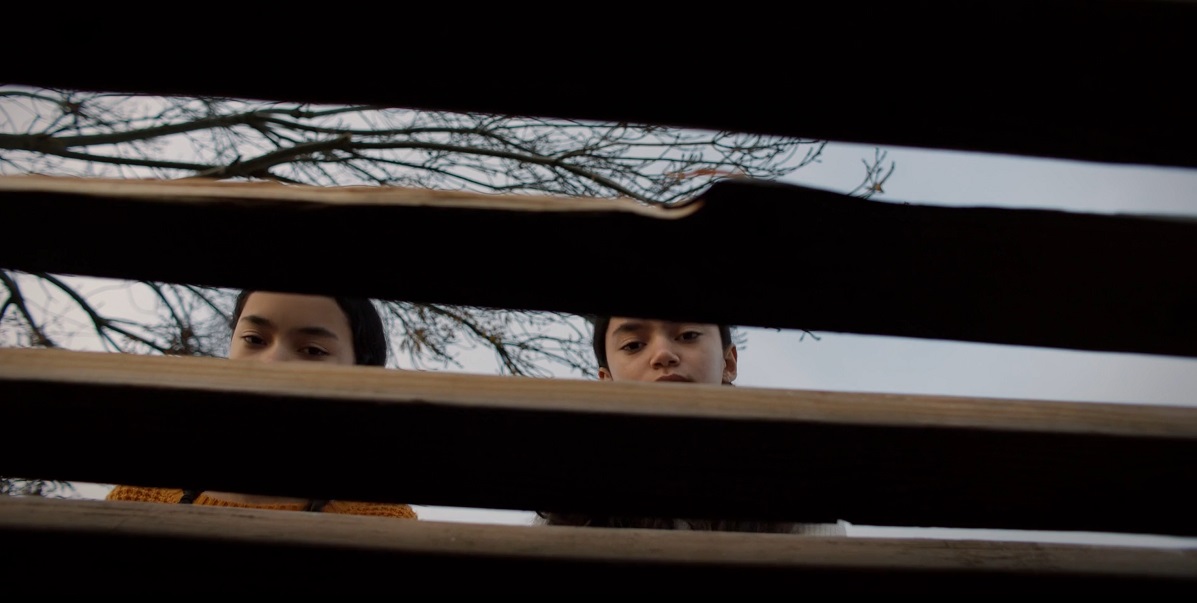 Trailer for psychological thriller The Fostered
