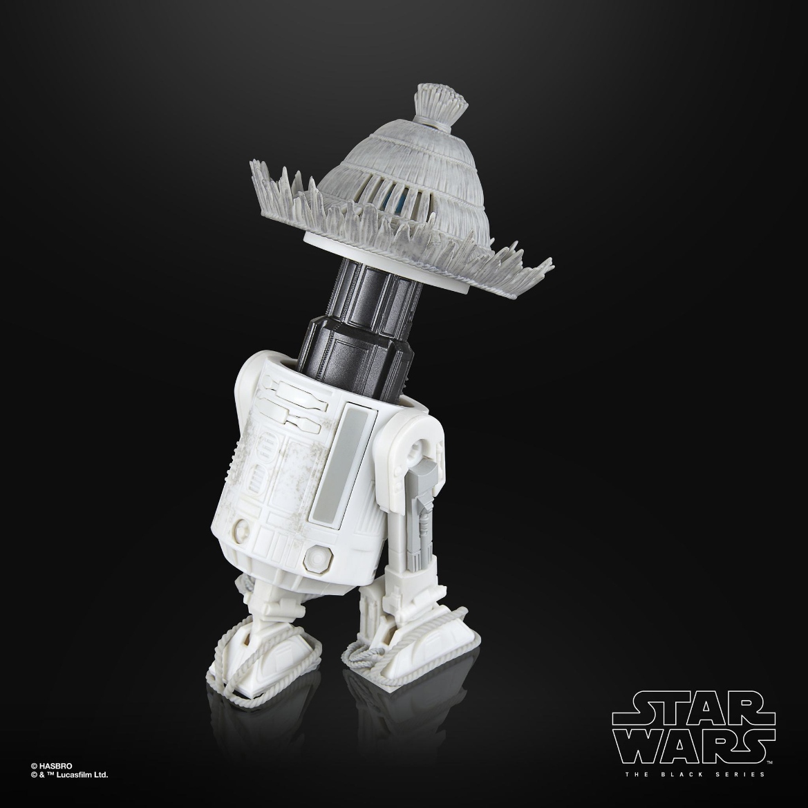 Star Wars: Visions' The Ronin & R5-D56 join Hasbro's Black Series with ...
