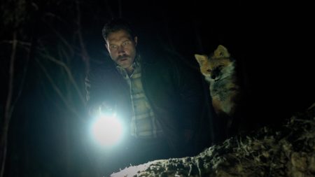 Trailer for Australian fantasy comedy The Fox starring Jai Courtney ...