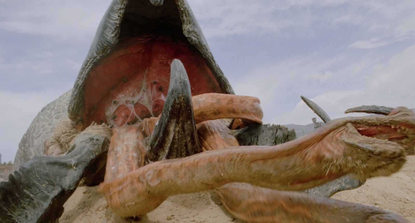 Tremors at 35: The Story Behind the Cult Classic Monster Movie
