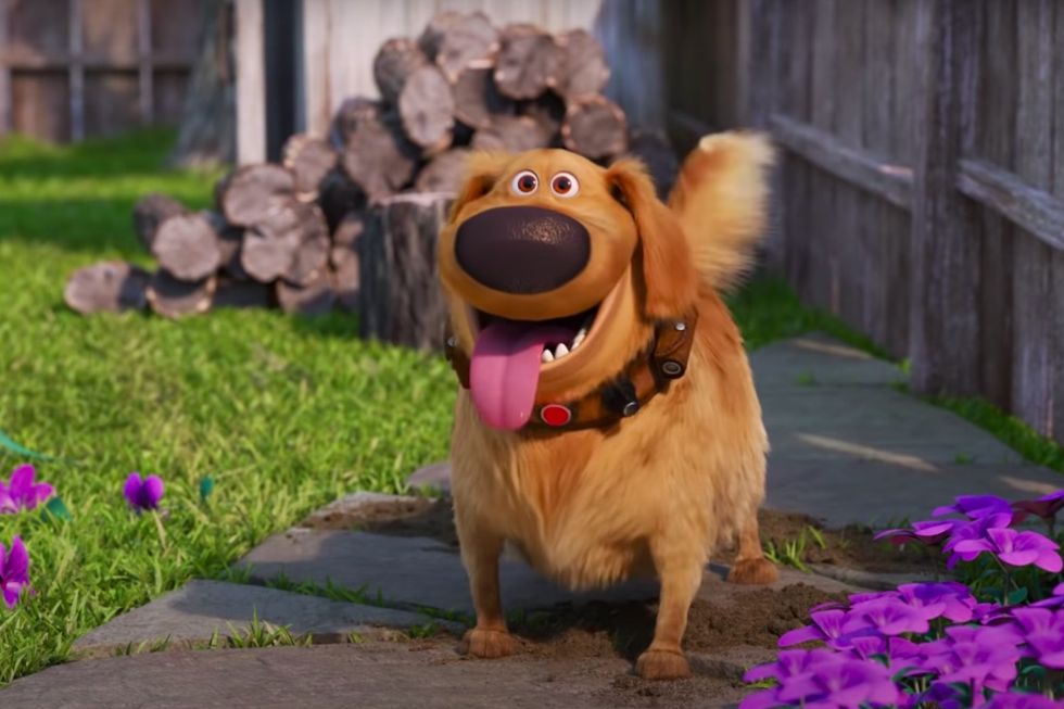 Up at 15: The Story Behind Pixar's Poignant Animated Adventure